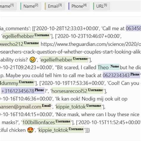An Example Of How Labeling A Comments Json File Would Look Like In