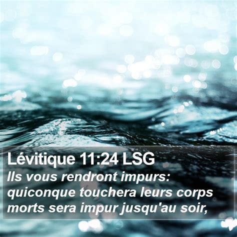 Lévitique 11 24 LSG Ils vous rendront impurs quiconque touchera