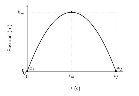 projectile motion graph