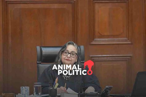 Suprema Corte Descarta Renuncia De La Ministra Norma Pi A Seguir En