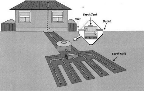 Septic Tank Leach Field Layout