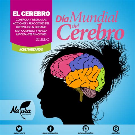 Cada 22 de julio se celebra el Día Mundial del Cerebro evento