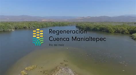 Ecosistemas acuáticos de México manglares Agua org mx