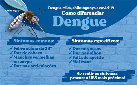 Será que é dengue Conheça os sintomas Imprensa Pública
