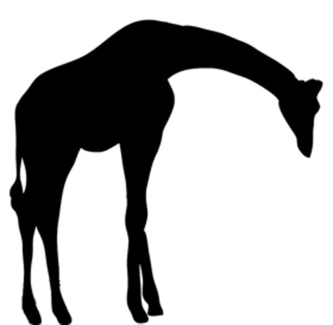 Detail Giraffe Silhouette Clip Art Koleksi Nomer