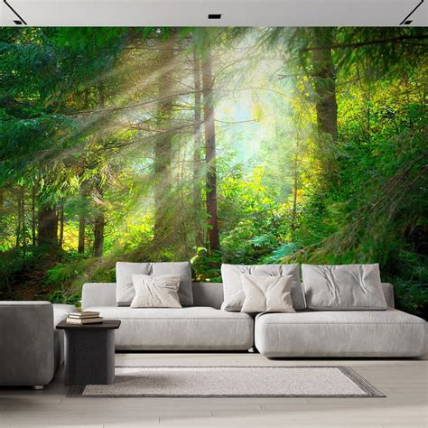 Amazon Wall26 Beautiful Forest Wallpaper Canvas Art Wall Mural