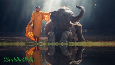 Musicas Relaxantes Relaxamento Profundo Música para Ajudar a Relaxar