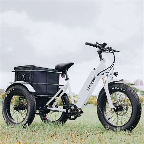 48V 500W 750W 3 Wheel Cargo Ebike Fat Tire Rear Wheel Hub Motor