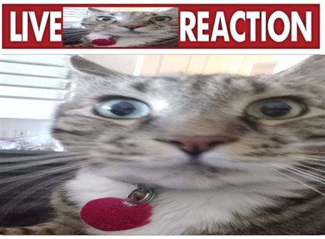 Live Toby Reaction Blank Template Imgflip