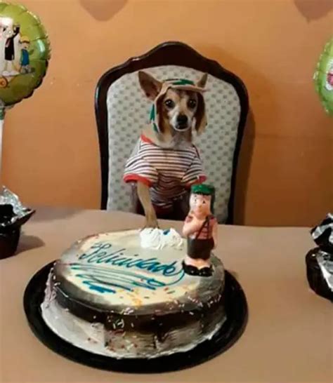 Perrito celebra su cumpleaños disfrazado como El Chavo del 8 Actitudfem