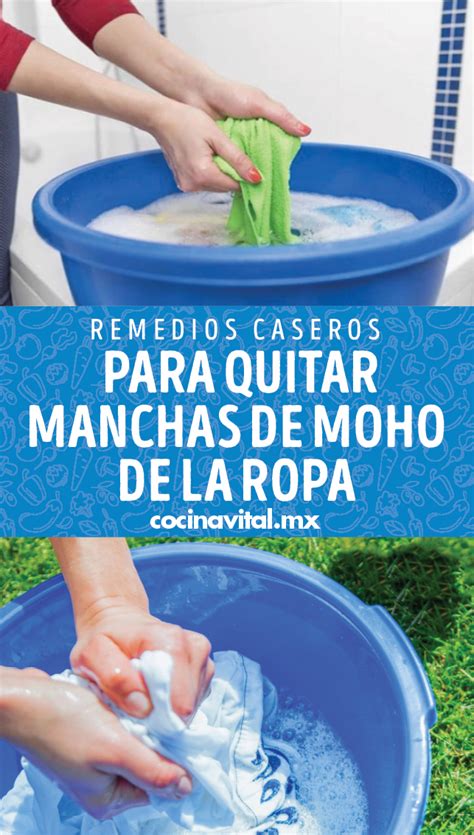 Remedios Caseros Para Quitar Manchas De Moho De La Ropa Artofit