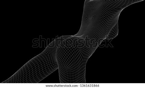 Beautiful Naked Woman Poses Female Body 3d Wireframe Vector