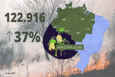 Na contramão de outros biomas Amazônia apresenta aumento das queimadas