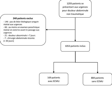 Figure 1 from Apport de léchographie clinique dans la prise en charge