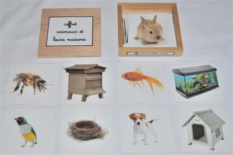 Animaux Et Leurs Maisons