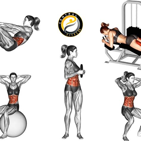 Treino De Pernas Para Mulheres O Guia Completo