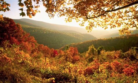 Los Mejores Parques Nacionales Para Visitar En Otoño 2023