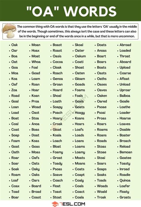 OA Words 800 Words In English 7ESL