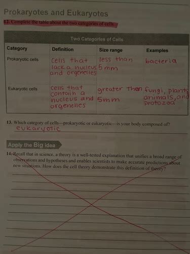 Bio Flashcards Quizlet