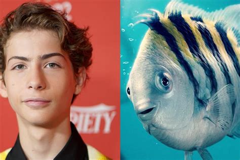 La Sirenita Jacob Tremblay Voz De Flounder Defiende El Perturbador