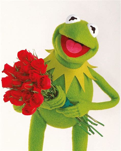 Pin By Natalia Sharkawi On Kermit The Frog Kermit Kermit The Frog