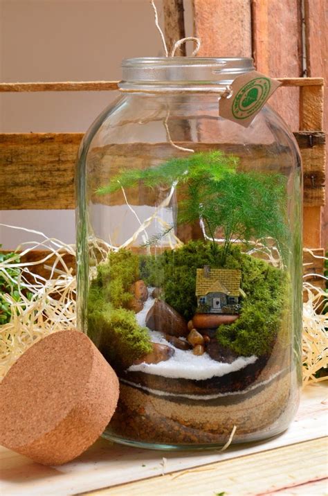 Terrário Como Fazer Tipos de Plantas 90 Modelos Lindos para 2020