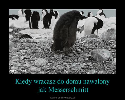 Kiedy Wracasz Do Domu Nawalony Jak Messerschmitt Demotywatory Pl