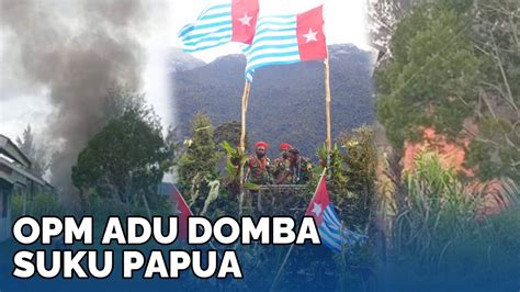 BAKAR Honai OPM Adu Domba Suku Papua Petinggi TNI Murka Difitnah