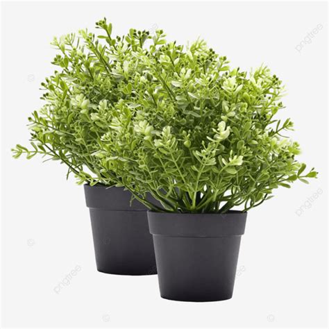 Black Plant Pot Set Plant Pot Plant Potted Plant Pot Transparent PNG