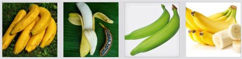 Diferencia Entre Pl Tano Y Banana Id Plantae