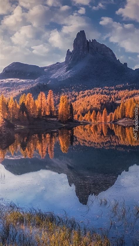 Pożółkłe drzewa nad jeziorem Lago Federa i góry w oddali Tapeta na