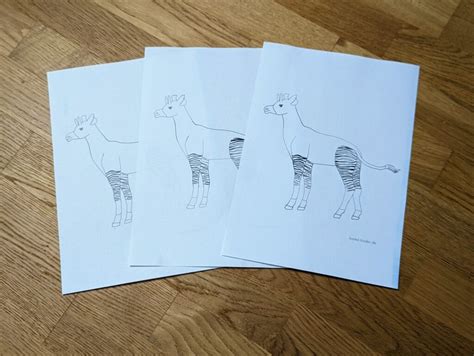 Witziges Okapi Vorlage Der Afrikanischen Dschungel Giraffe Zum