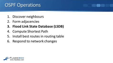 Cisco Ospf Basic Configuration Flackbox