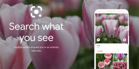Here S How Google Lens Qr Code Scanner Works