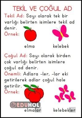 Tekil Çoğul İsim Konu Özetli İ Eduhol Etkinlik İndir Oyun Oyna