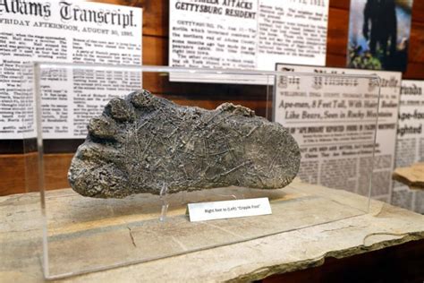 Illinois Bigfoot Sightings And Skepticism The 21st Show Illinois