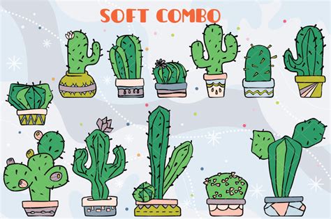 Colored Cactus In Flower Pots Succulent Tropical House Plants By
