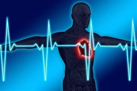 Cómo calcular frecuencia cardiaca máxima 1 Calculadora