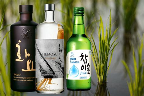 Best Soju Brands To Get Excited About Drinks Geek