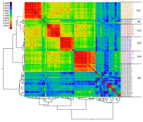 Heat Map And Dendrogram Illustrating Genetic Diversity Of Unique