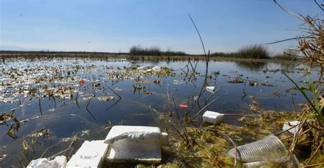 México Crisis por el agua en México 60 de los mantos contaminados y