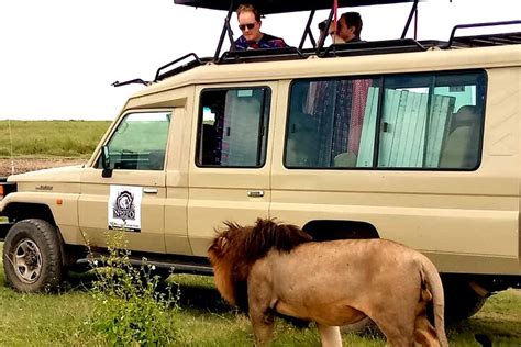 2023 4 Days Budget Camp Safari Serengeti Ngorongoro Crater And