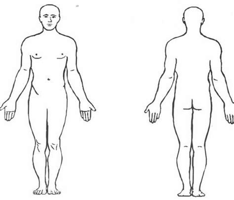 Picture Of Anterior And Posterior Human Body Outline Google Search