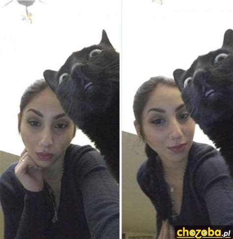Selfie z kotem ChoZoba pl śmieszne obrazki gify filmy zdjęcia