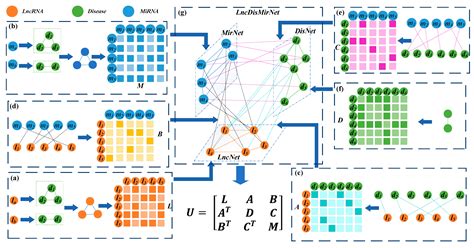 cells free full text graph convolutional network and convolutional neural network based
