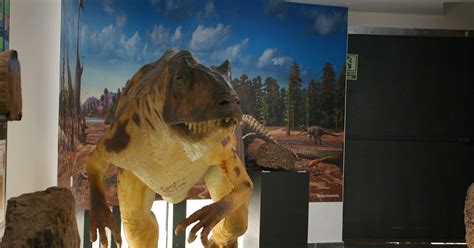 Fundacion Dinosaurios Cyl El Alosaurio Del Museo De Dinosaurios En La