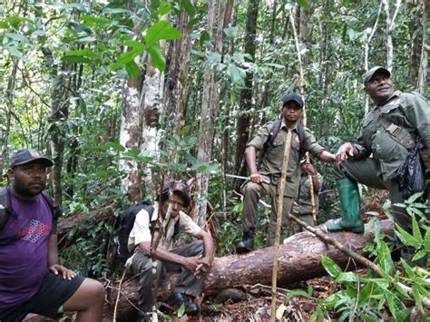 Bersama Masyarakat Menjaga Hutan Di Papua Ditjen Konservasi Sumber