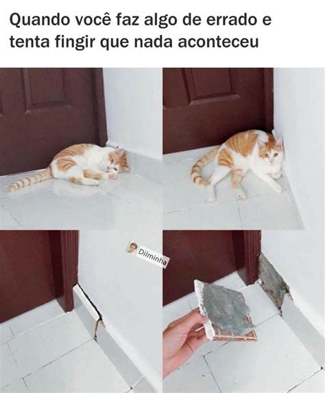 Eu Antes De Comer Eu Depois De Comer Memes