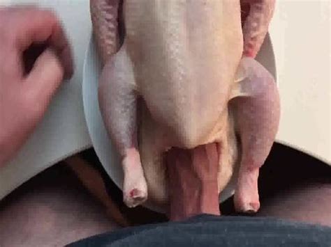 Chicken Fuck Cartoon Sex Pictures Pass