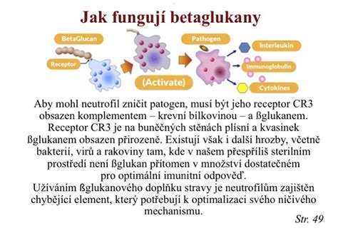 Jak posílit svůj imunitní systém Dr Paul Clayton PhD Ve hvězdách